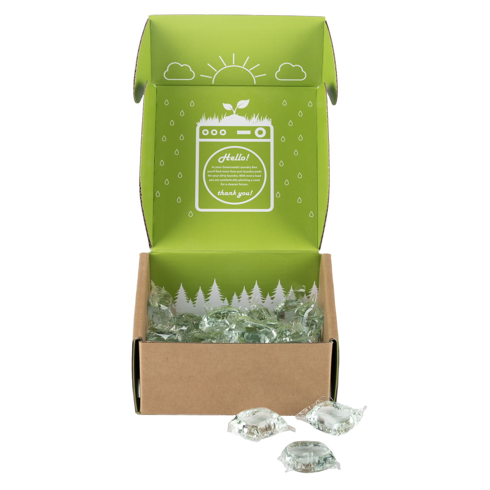 Laundry Detergent Pods, 32 Pods – Greenseedz